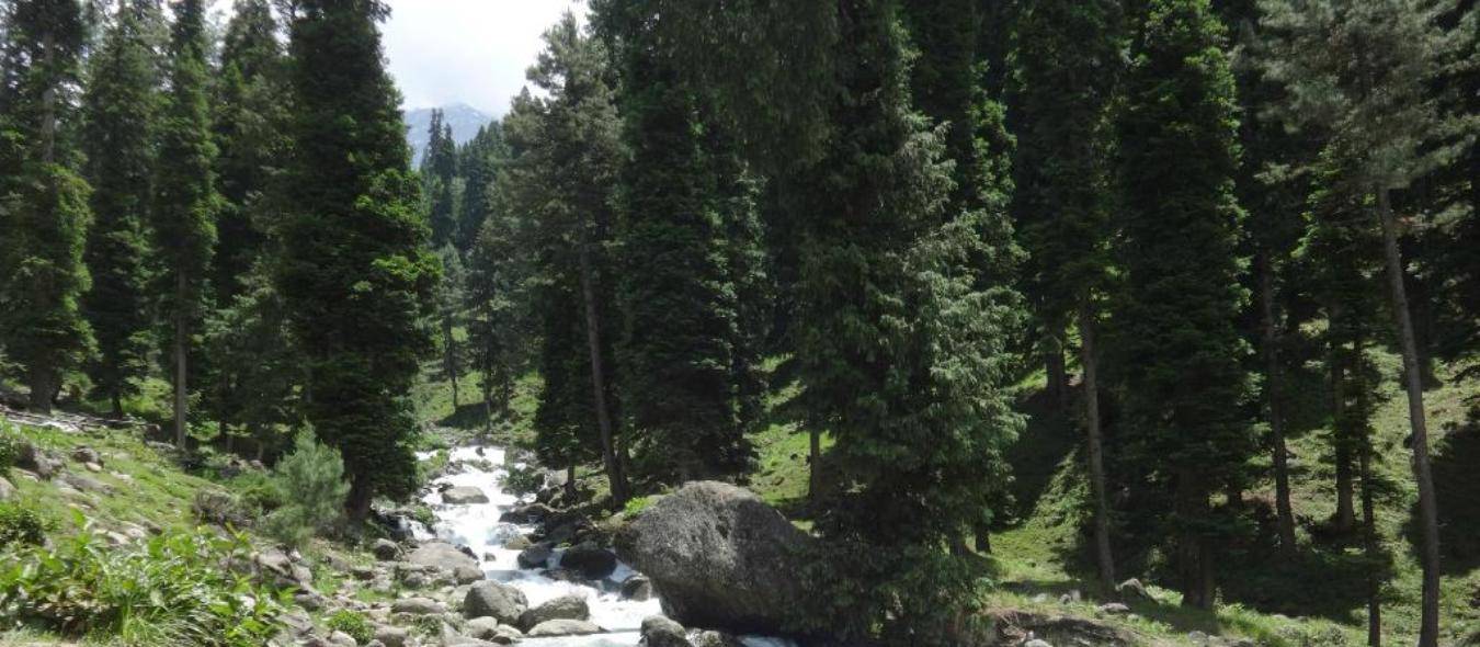 Kashmir Trekking, Hiking and Adventure Tours by Endless Tour and Travel